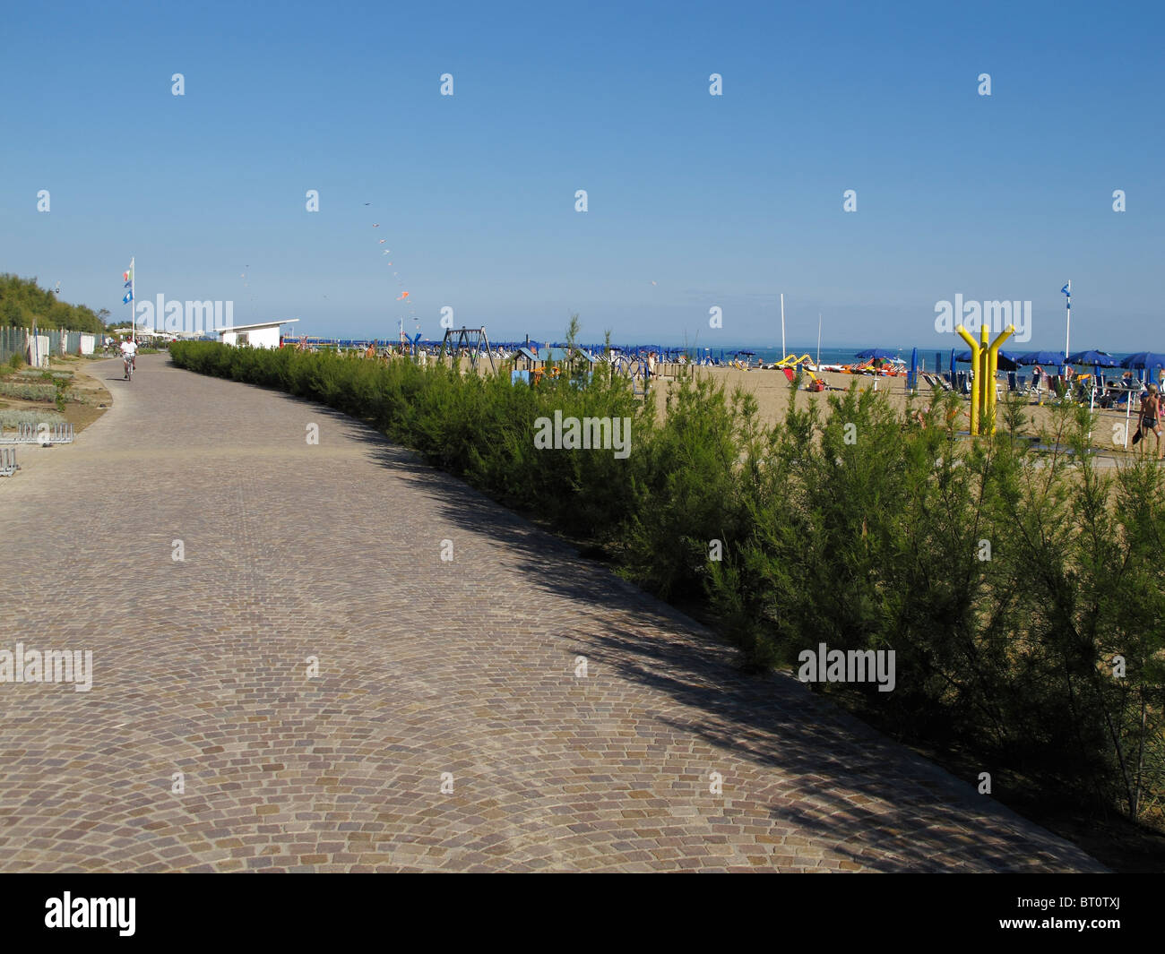Cycle path and foot path at the beach in Bibione Pineda, Veneto, italy ...