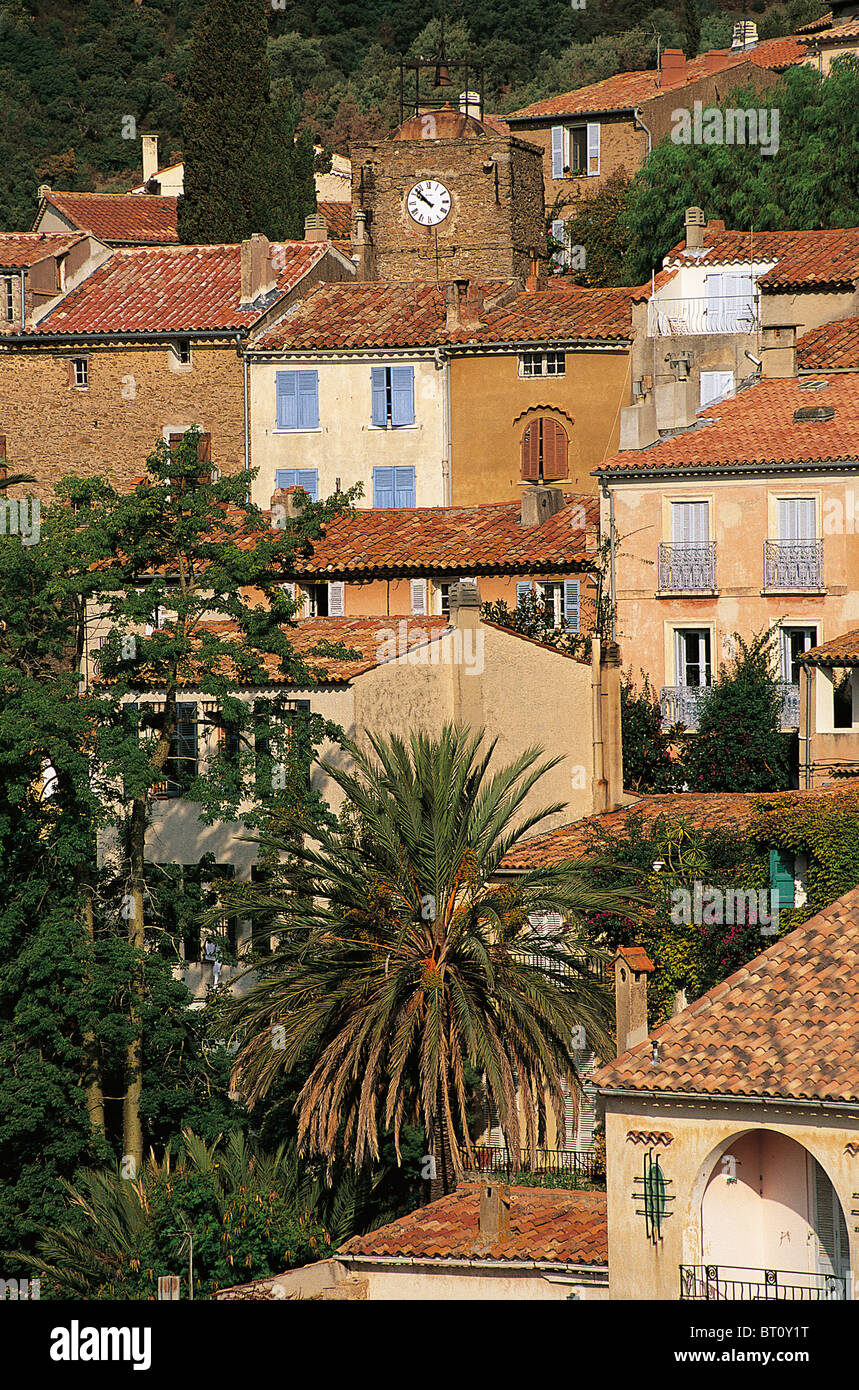France, Var, Bormes les Mimosas Stock Photo - Alamy