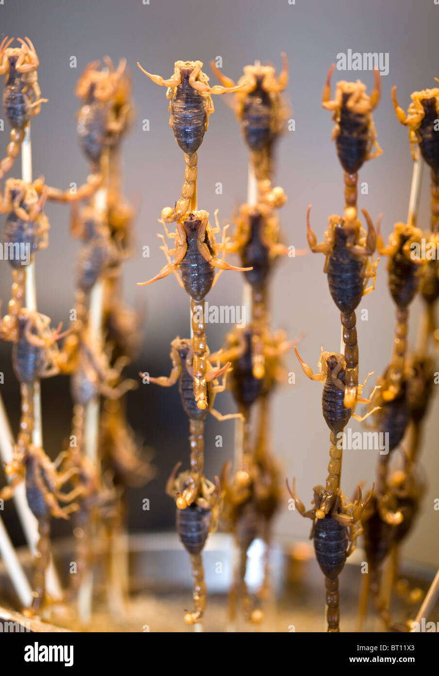 Cooked Scorpions on sale at Donghuamen Night Market Beijing China Stock ...