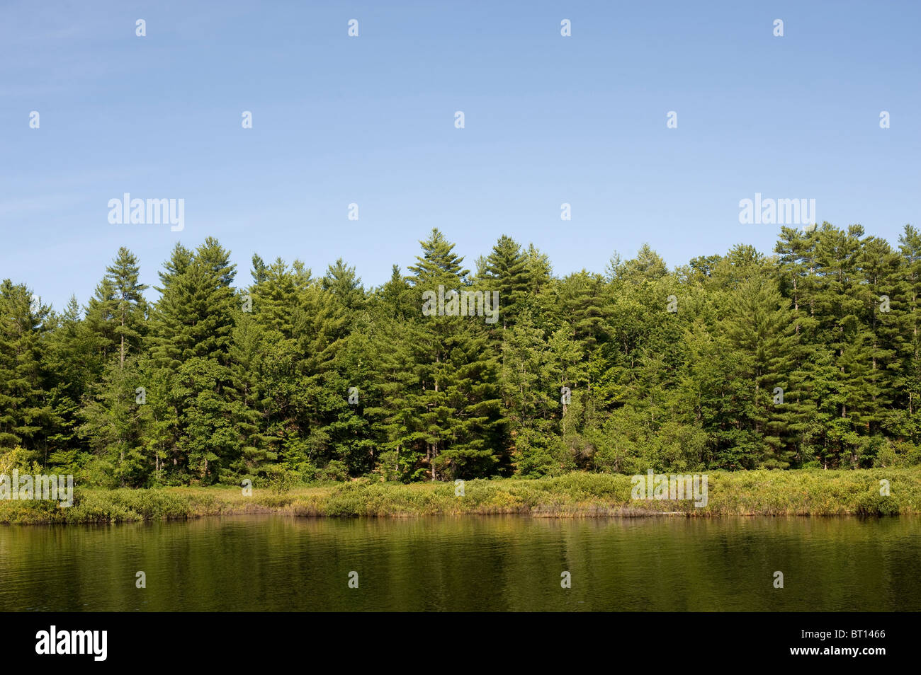 New hampshire water hi-res stock photography and images - Alamy