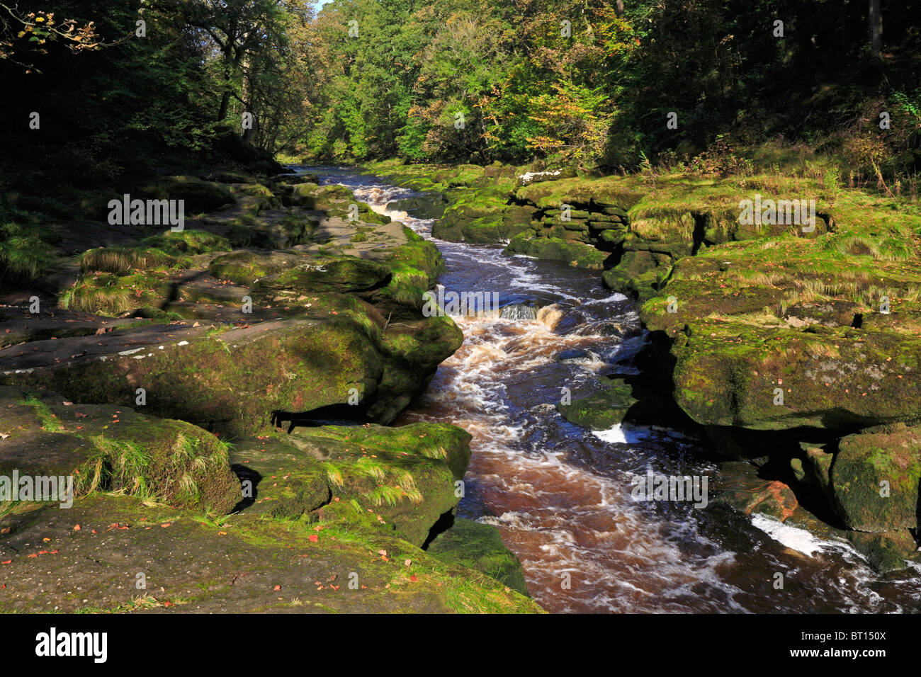 River Wharfe at The Strid near Bolton Abbey, Yorkshire Dales National ...
