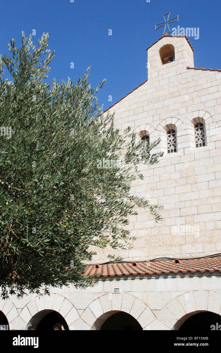 Heptapegon hi-res stock photography and images - Alamy