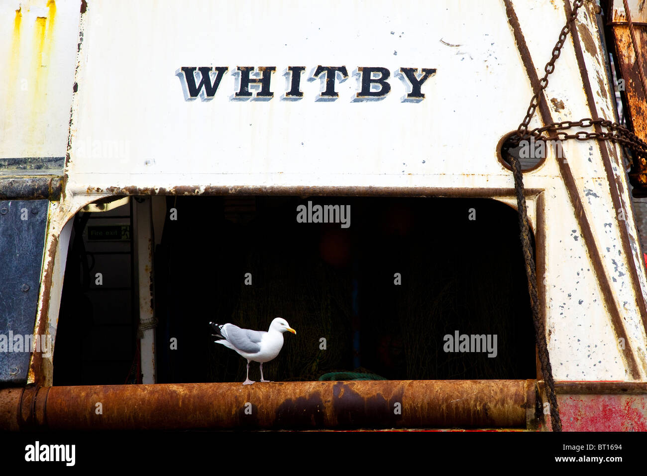 Seagull on the stern of a Whitby fishing trawer, Whitby, Yorkshire ...