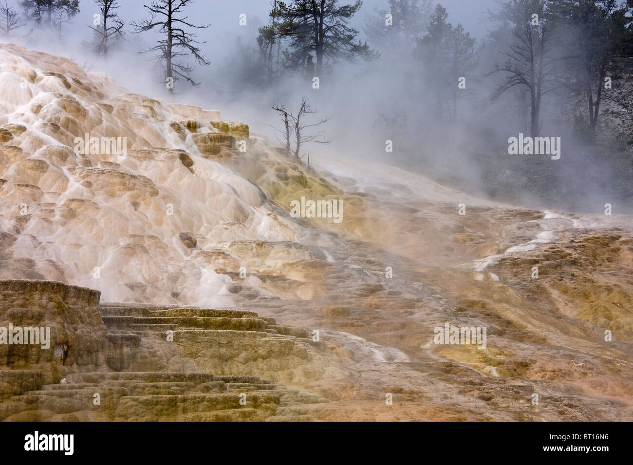 Travertine terrace at Mammoth Hot Springs, Yellowstone National Park ...