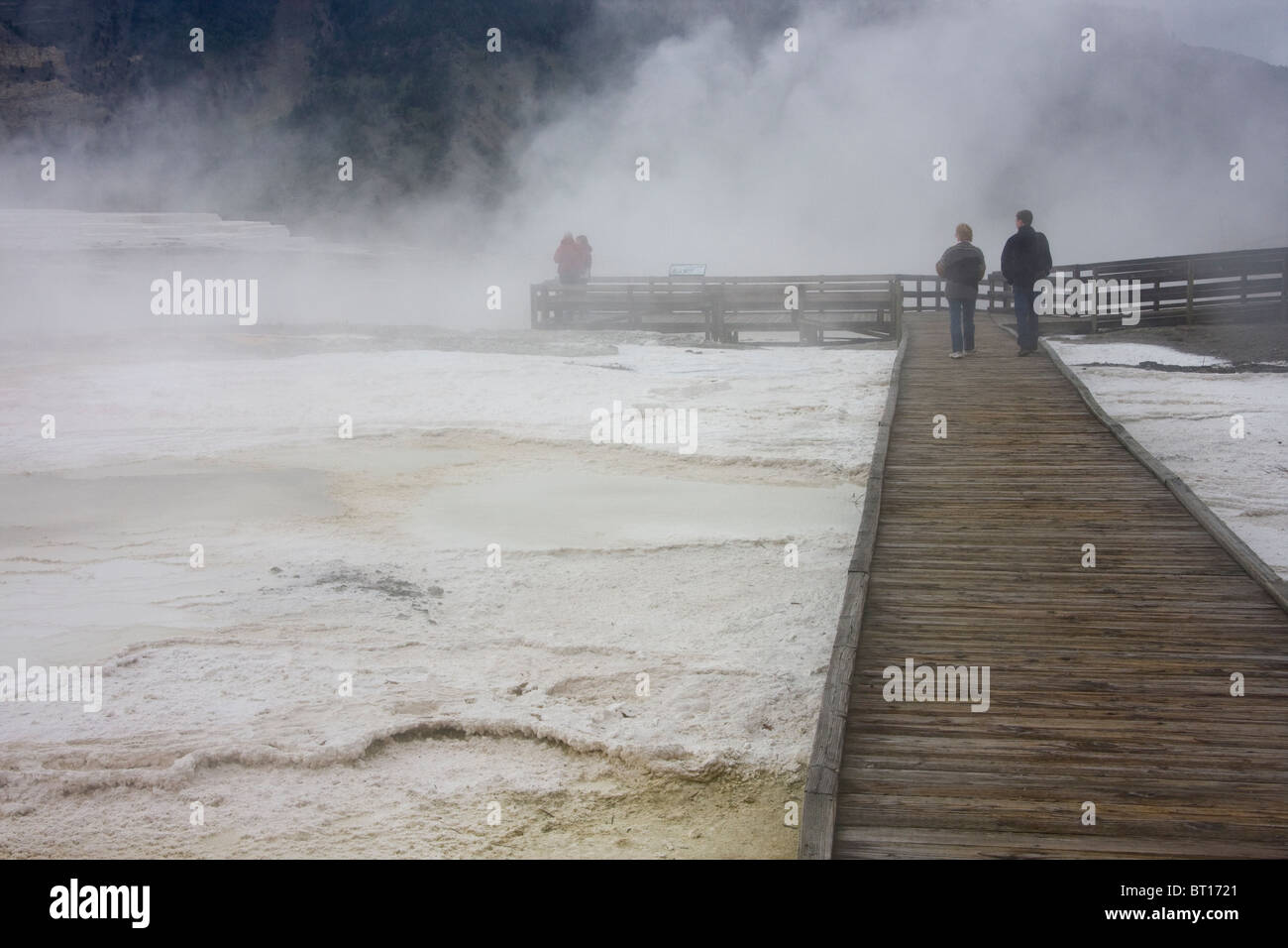 Canary Spring, Mammoth Hot Springs, Yellowstone National Park, USA ...