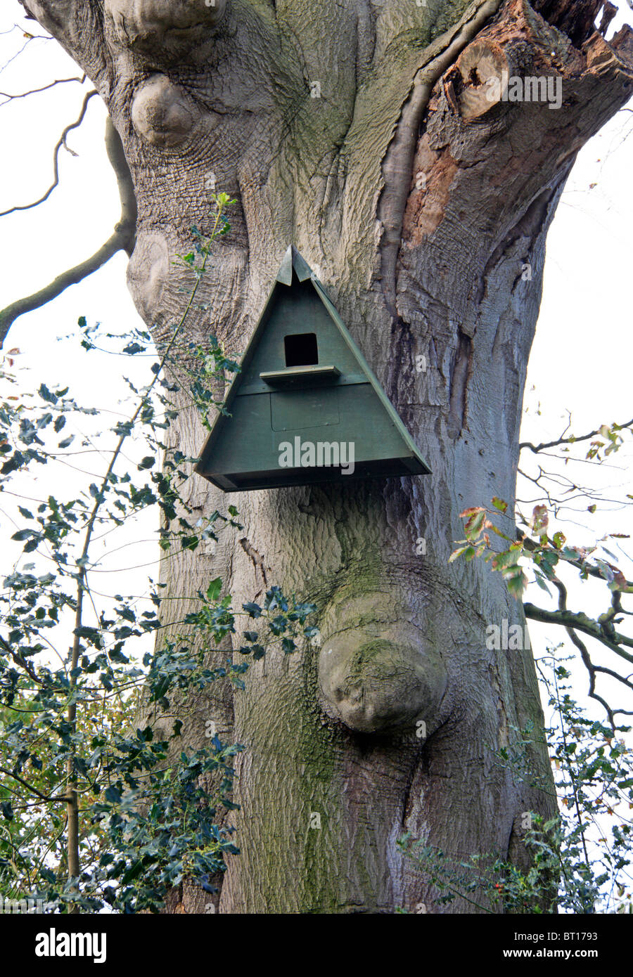 Triangular nesting box hi-res stock photography and images - Alamy
