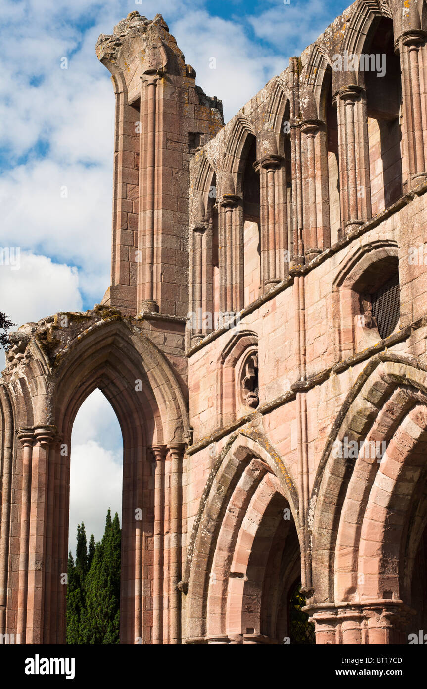 The ruined medieval architecture of Dryburgh Abbey in the Scottish ...