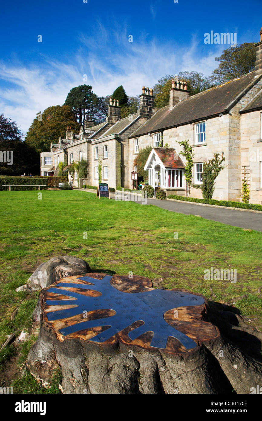 The History Tree and Danby Moors Centre North Yorkshire England Stock ...