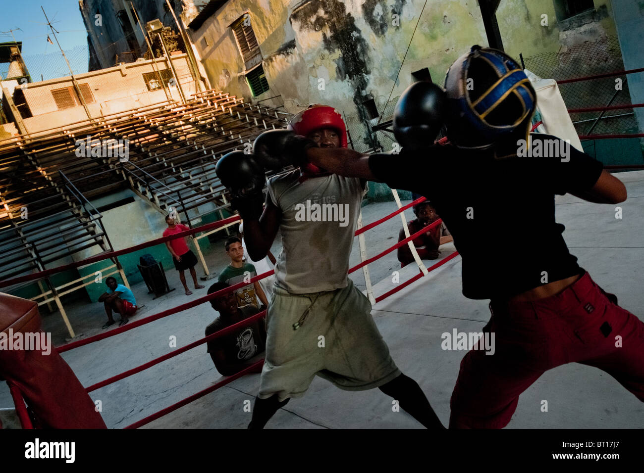 Young Cuban fighters during a training match at Rafael Trejo boxing gym ...