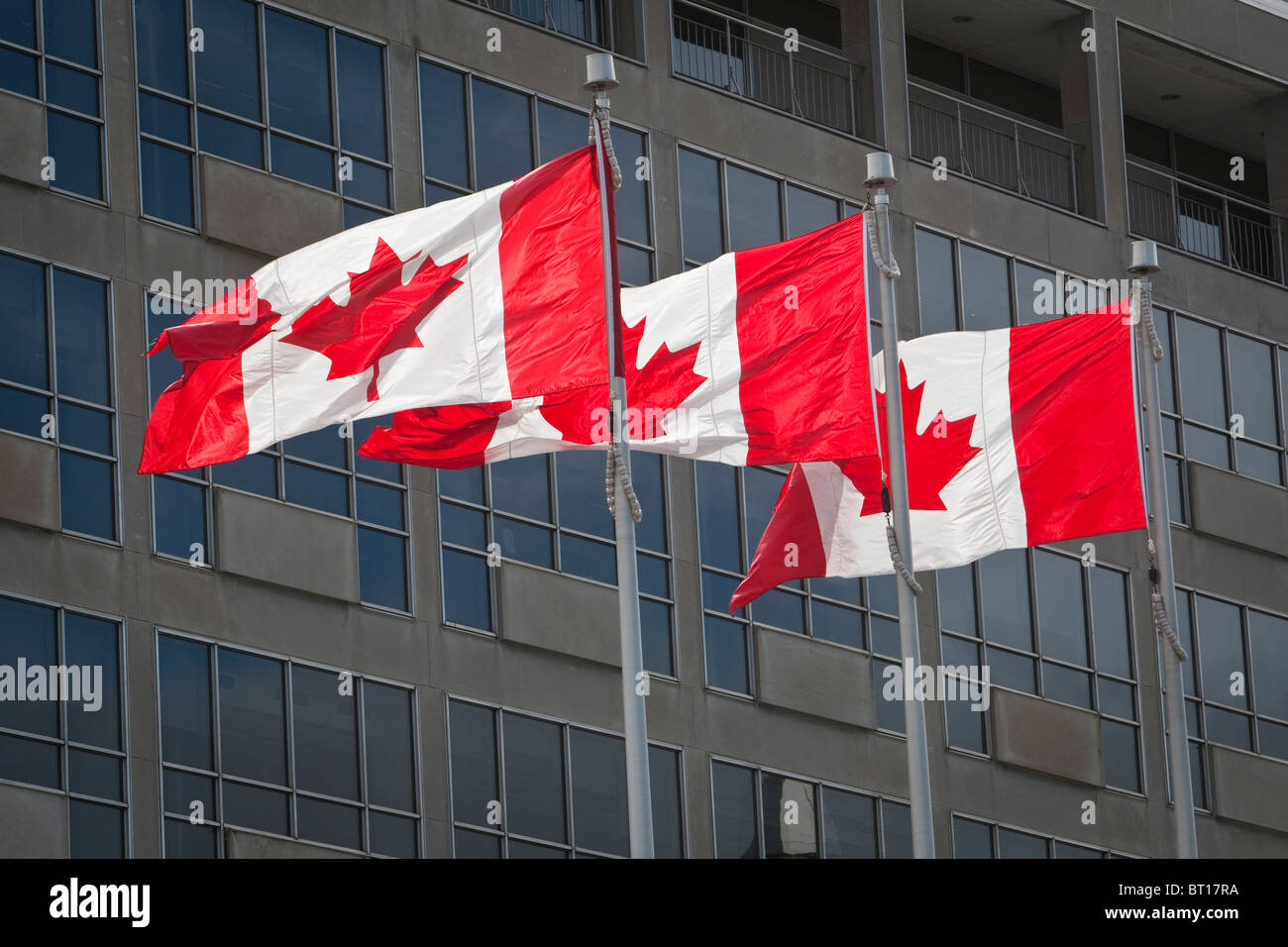 Canadian flags flies in Ottawa Wednesday September 29, 2010 Stock Photo - Alamy