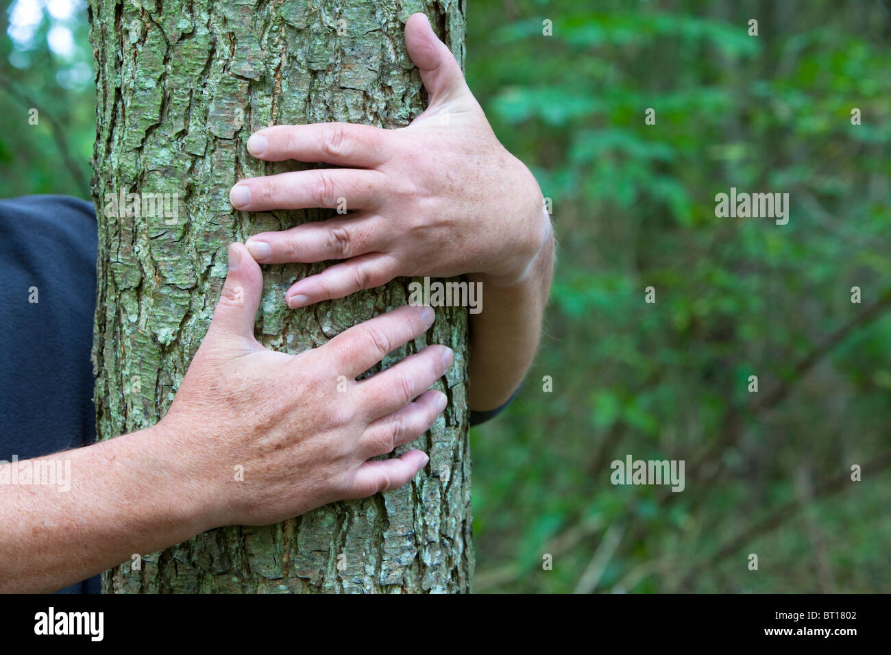 Hands on a tree trunk Stock Photo - Alamy