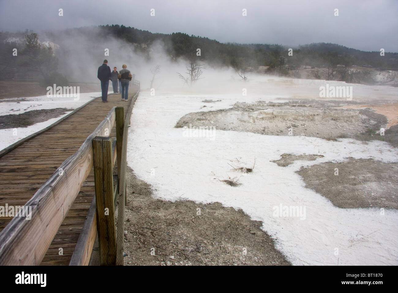 Main Terrace, Mammoth Hot Springs, Yellowstone National Park, USA Stock ...