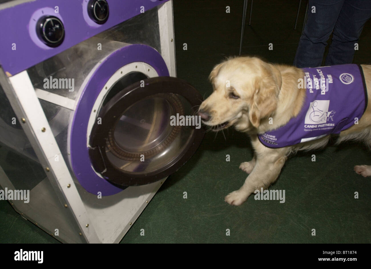 Canine Partners are trained dogs that help disabled people in the UK ...