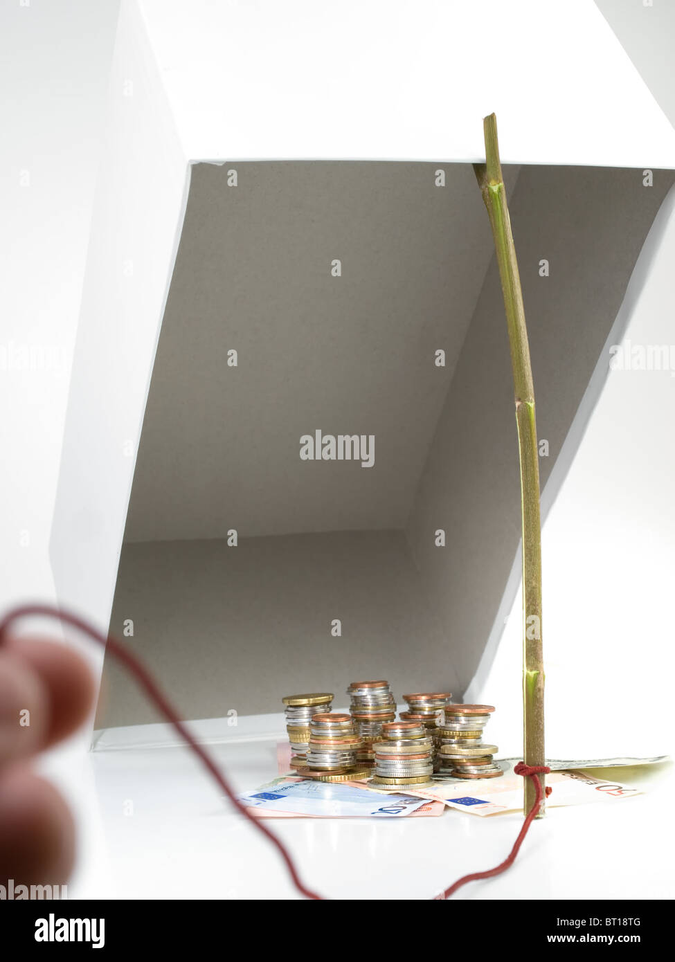 Money placed as bait under the box trap with the hand holding the ...