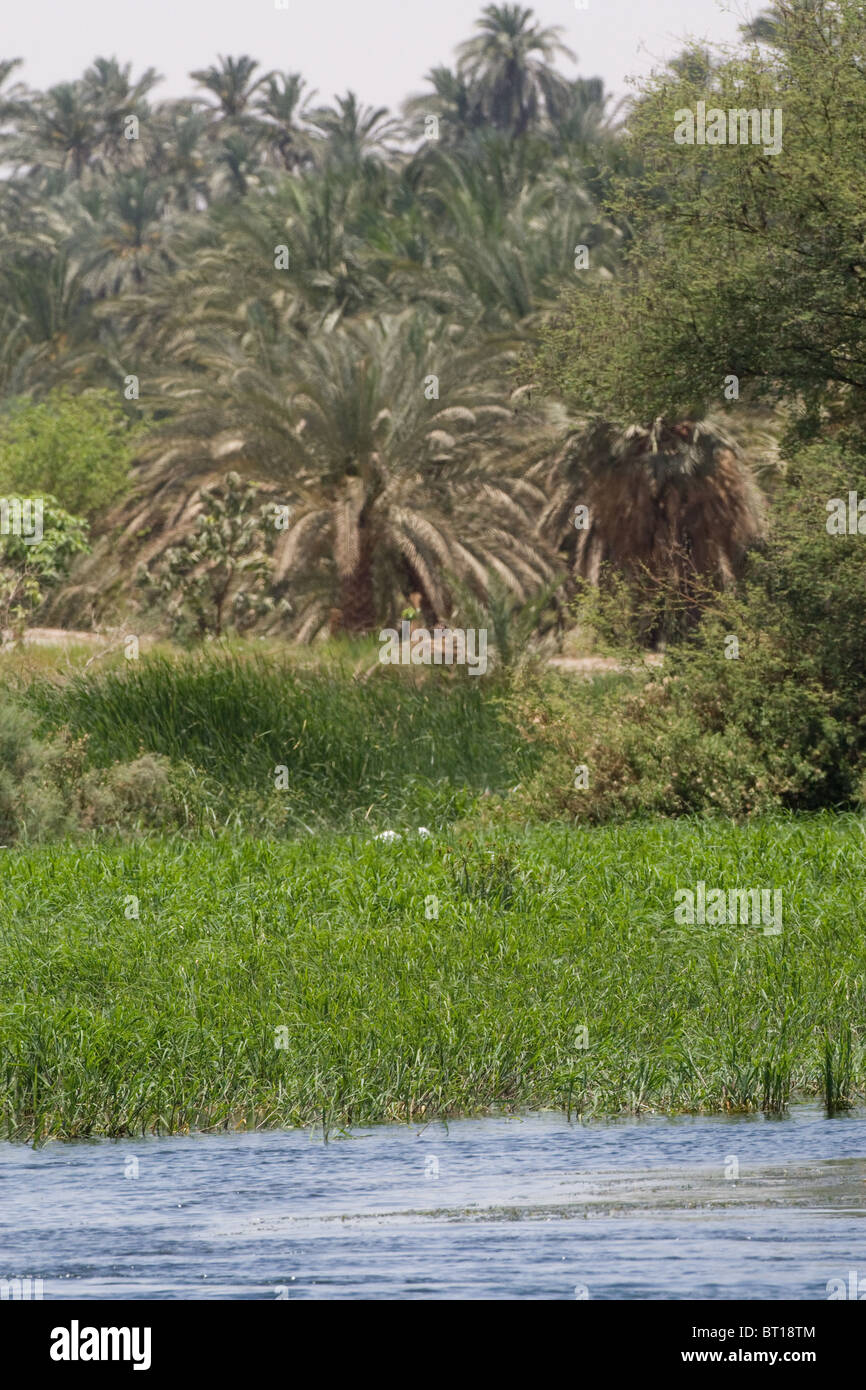 Egypt Africa "Nile River" Desert Water Landscape Travel Adventure ...