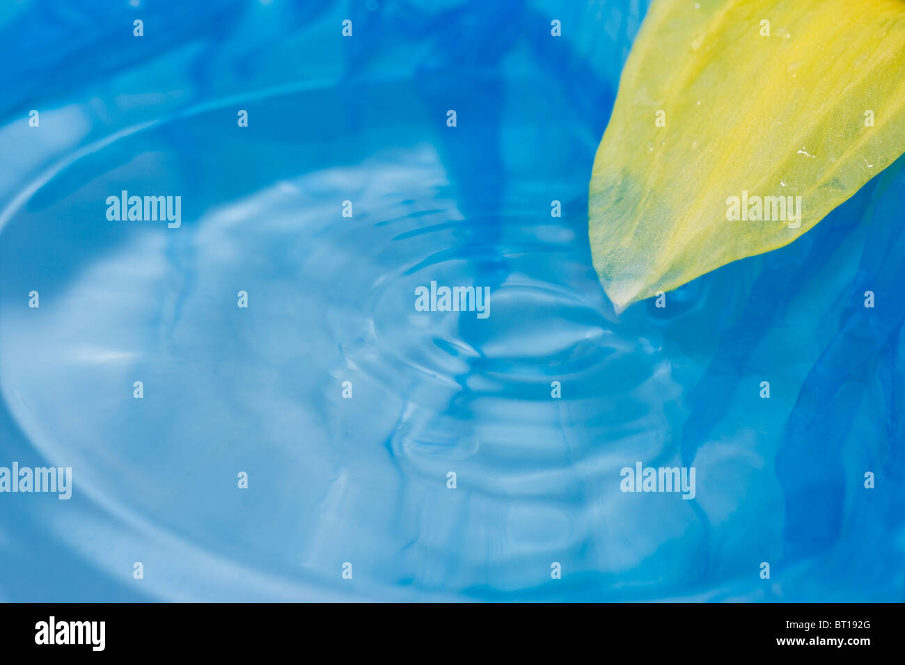 Wave leaf hi-res stock photography and images - Alamy