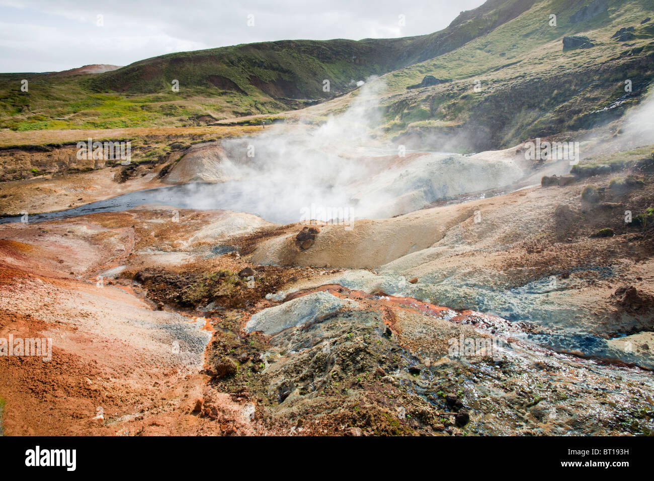 Geothermal ground venting steam in Hengill, Iceland Stock Photo - Alamy