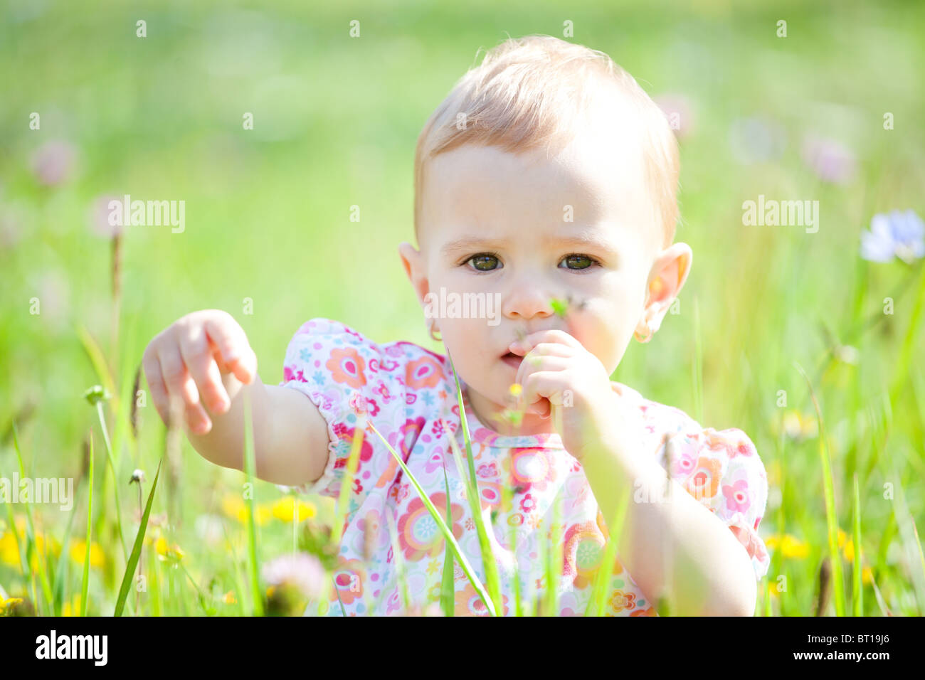 Baby girl spending time outdoor on a summer day Stock Photo - Alamy