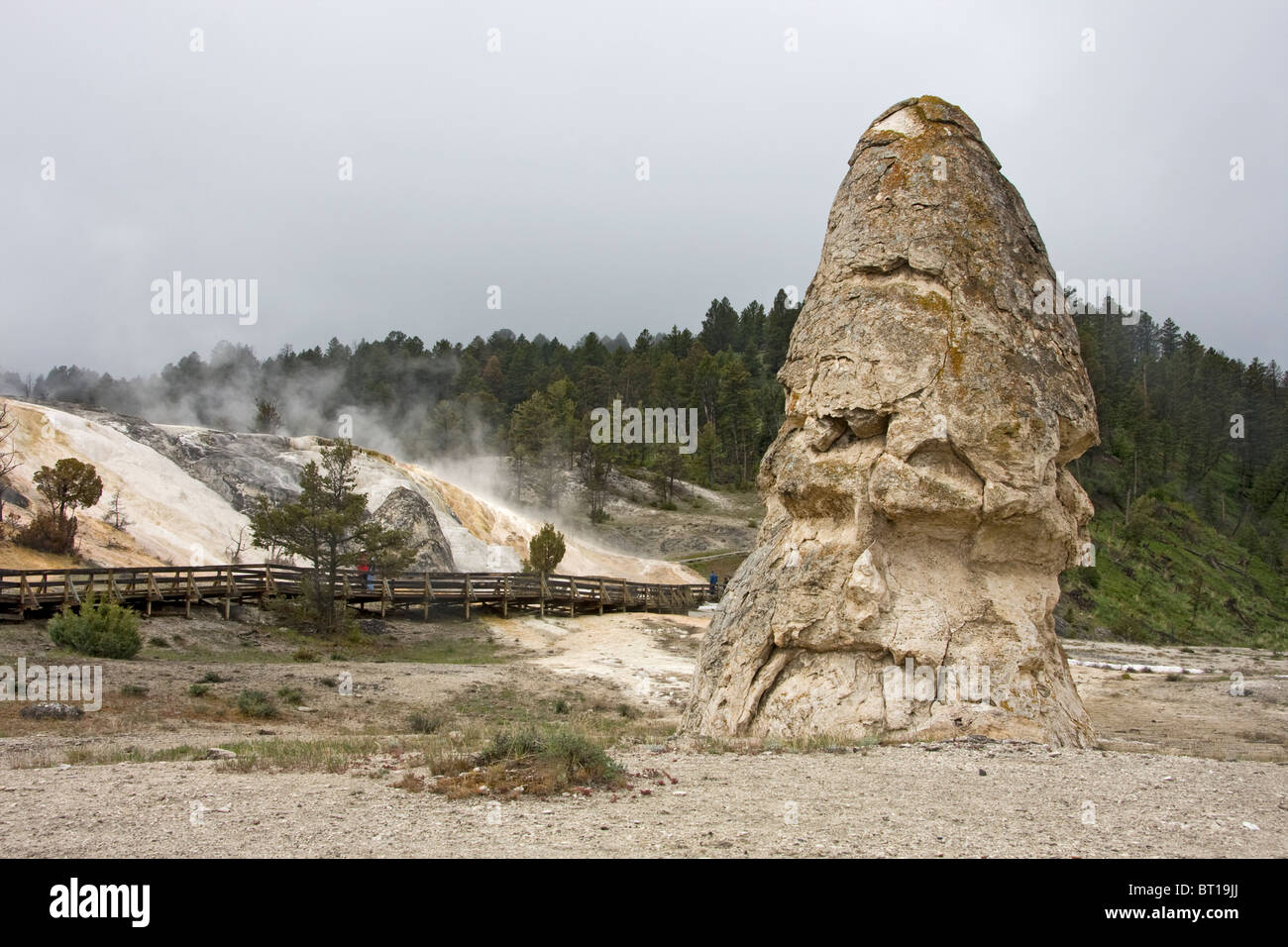 Liberty cap hi-res stock photography and images - Alamy
