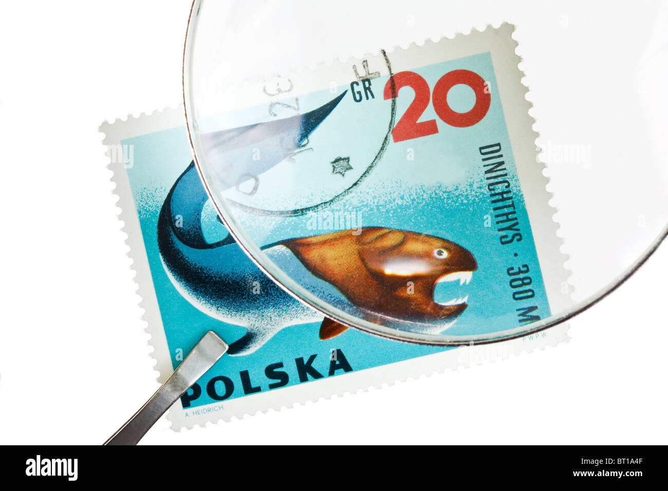 Postage stamp under magnifiying glass with tweezers Stock Photo - Alamy