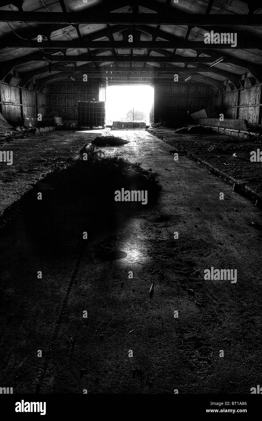 Dusty old timber barn Stock Photo - Alamy