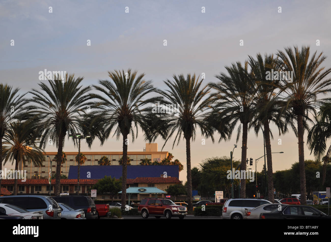 Beautiful trees in Anaheim, Ca Stock Photo - Alamy