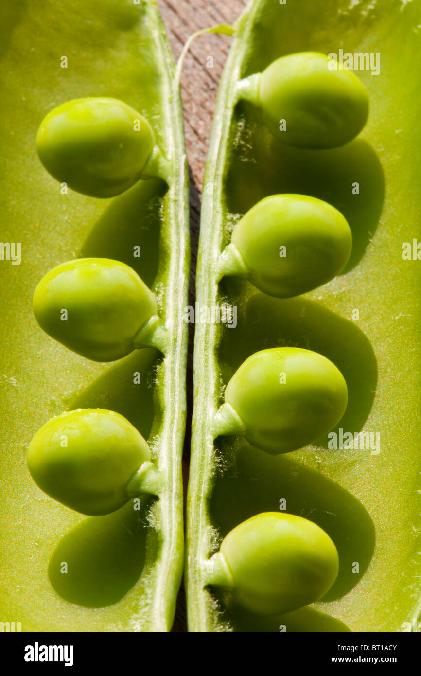 Peas in a pod Stock Photo - Alamy