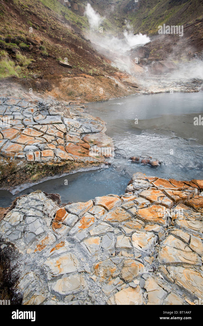 Geothermal ground venting steam in Hengill, Iceland Stock Photo - Alamy