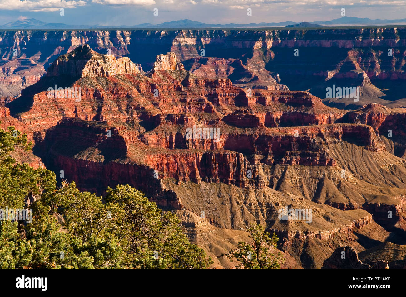 Bright Angel Point, North Rim, Grand Canyon Nationalpark, Arizona, USA ...