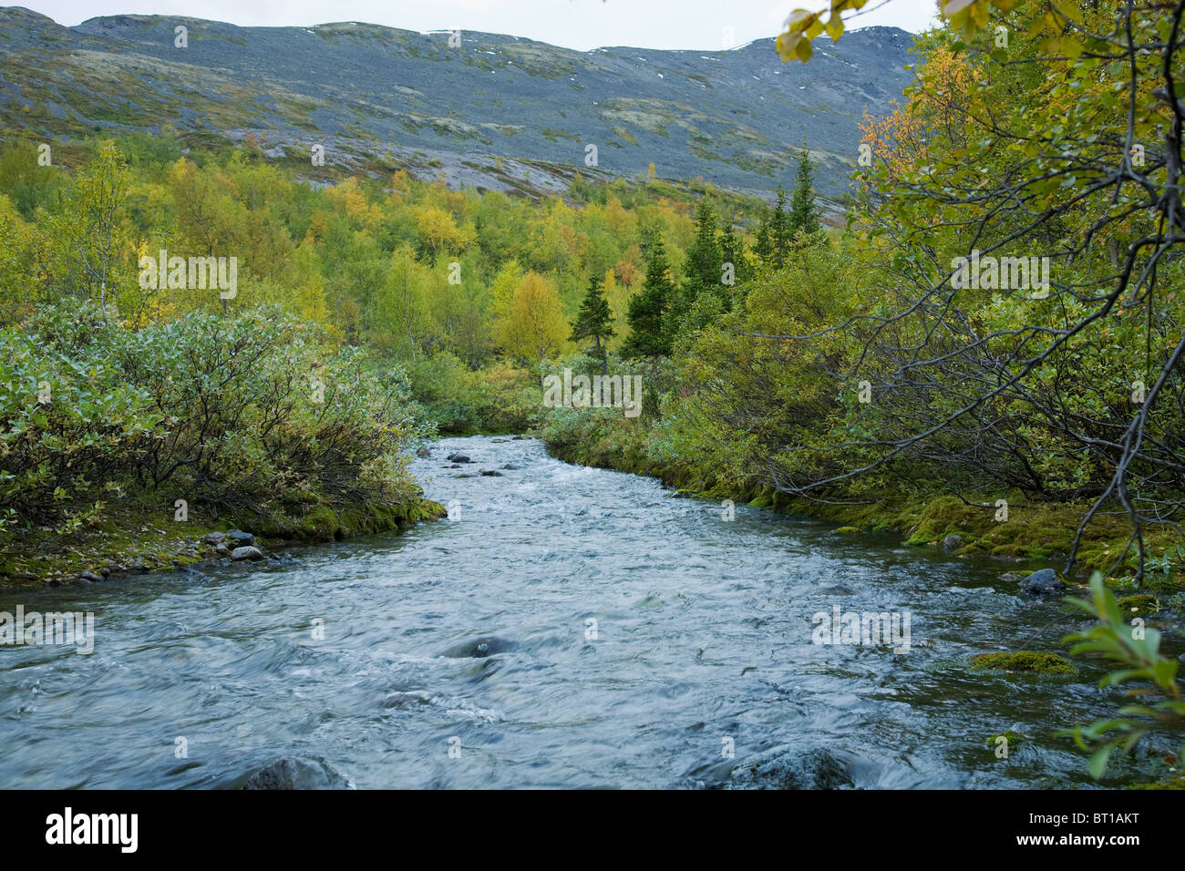 Beautiful nature landscape river hi-res stock photography and images ...