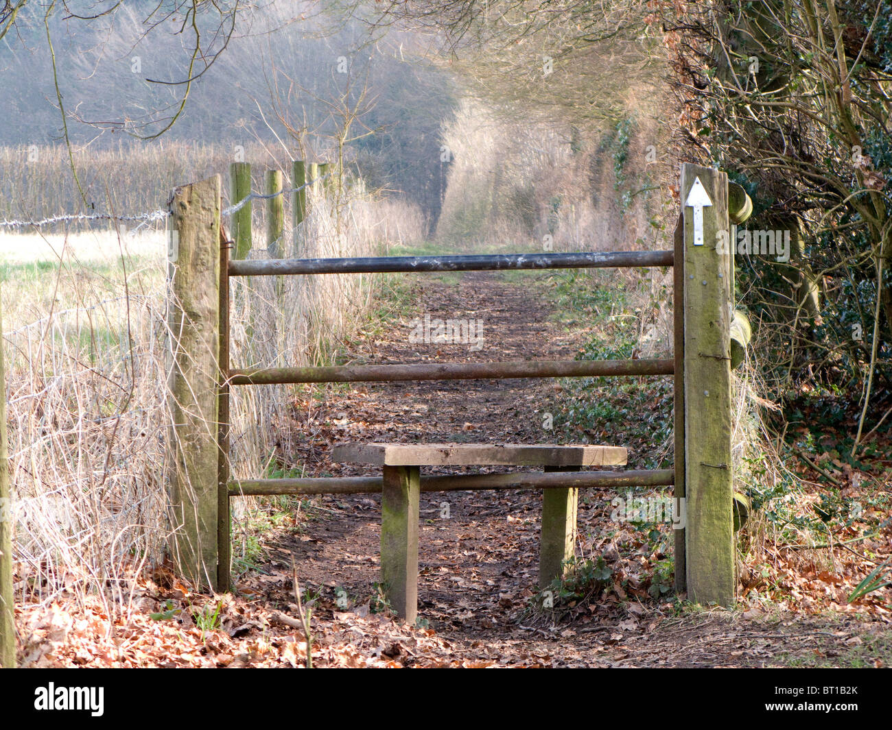 Doggie style hi-res stock photography and images - Alamy