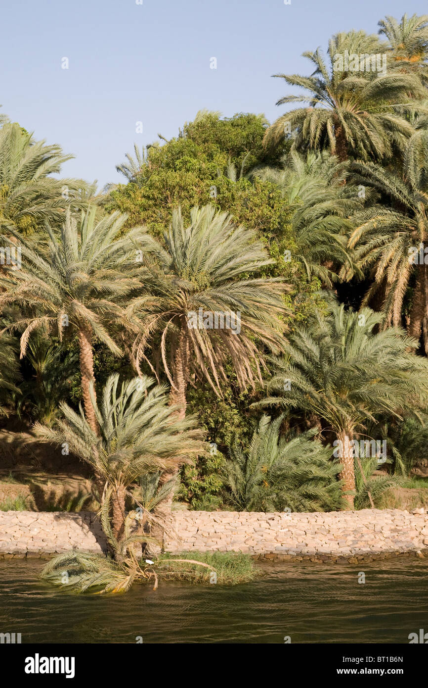 Egypt Africa "Nile River" Desert Water Landscape Travel Adventure ...