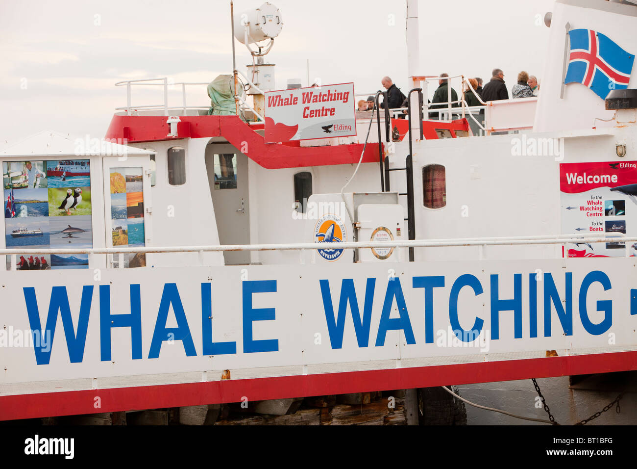 Whale watching boats in Reykjavik, Iceland Stock Photo - Alamy