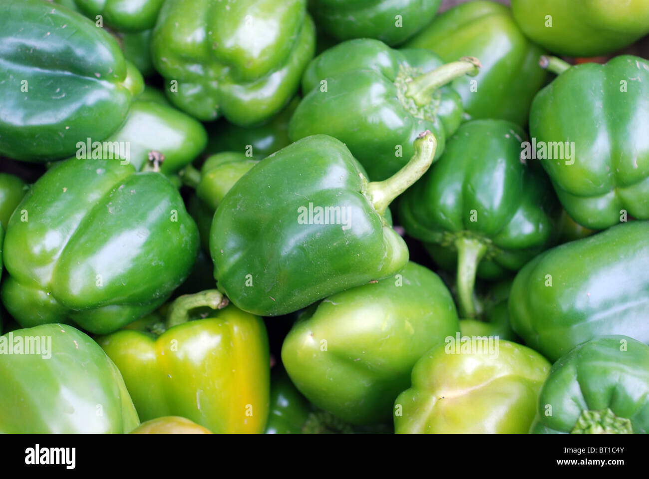 Collection of Green Peppers Stock Photo - Alamy