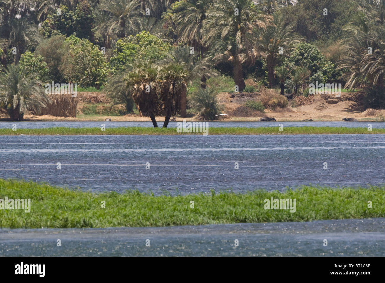 Egypt Africa "Nile River" Desert Water Landscape Travel Adventure ...