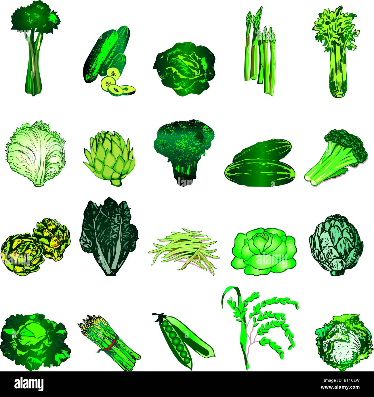 Vector Illustration of 20 green vegetable icons Stock Photo - Alamy