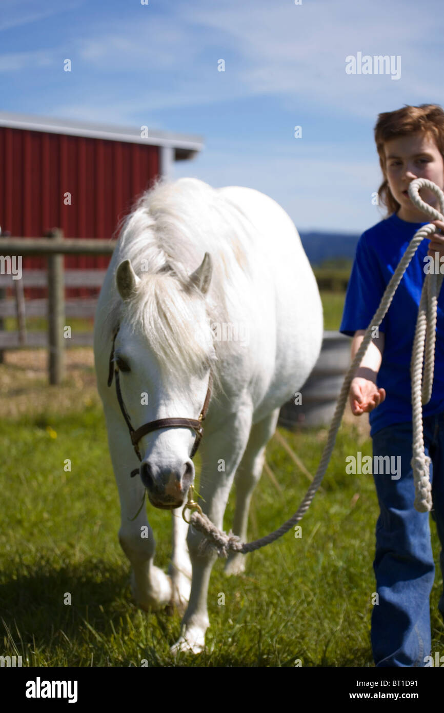 Learn welsh hi-res stock photography and images - Alamy