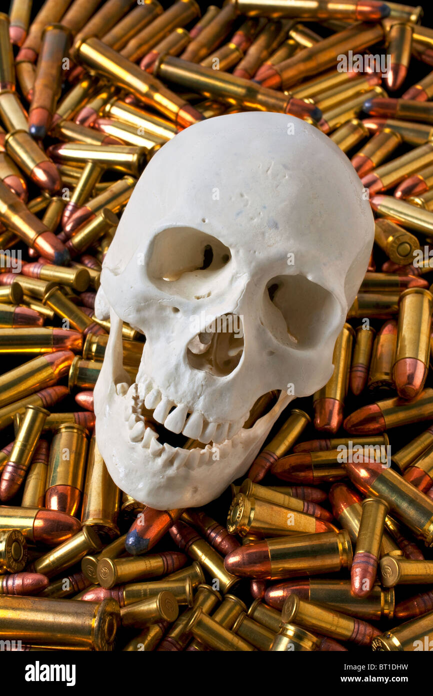 Human skull among bullets Stock Photo - Alamy