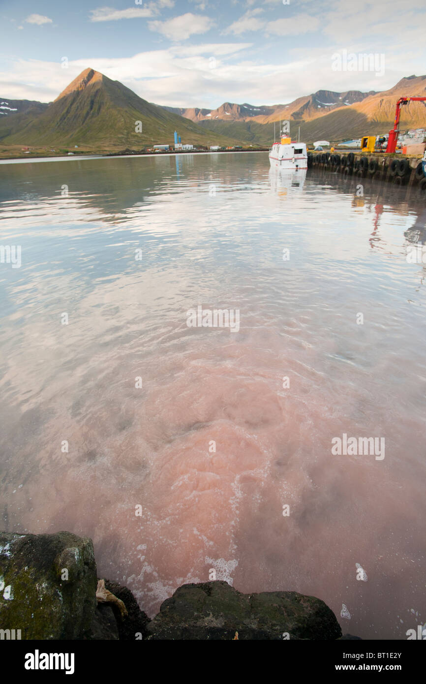 Fishing boat waste hi-res stock photography and images - Alamy