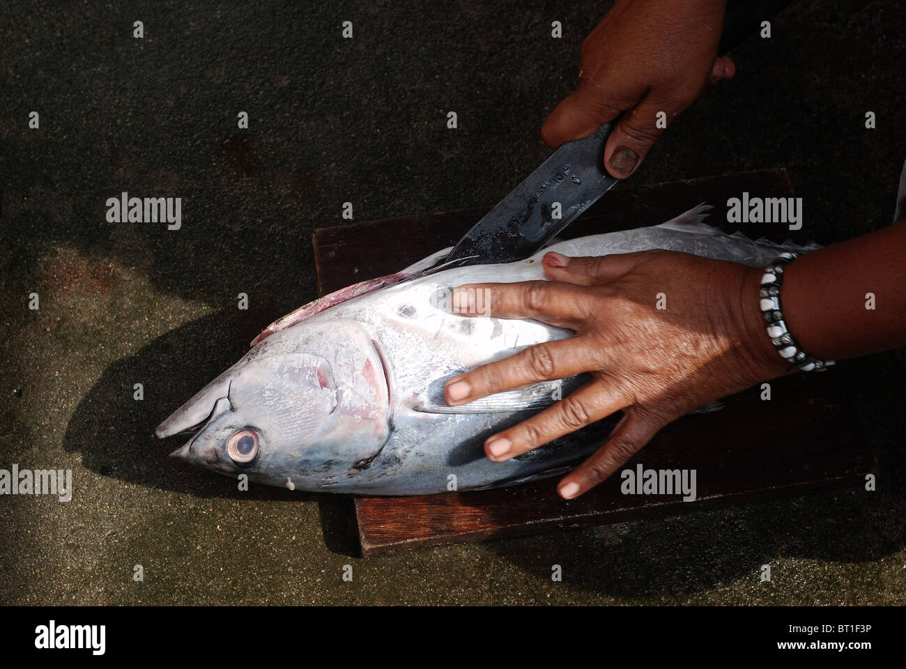 cutting fish in to pieces Stock Photo - Alamy