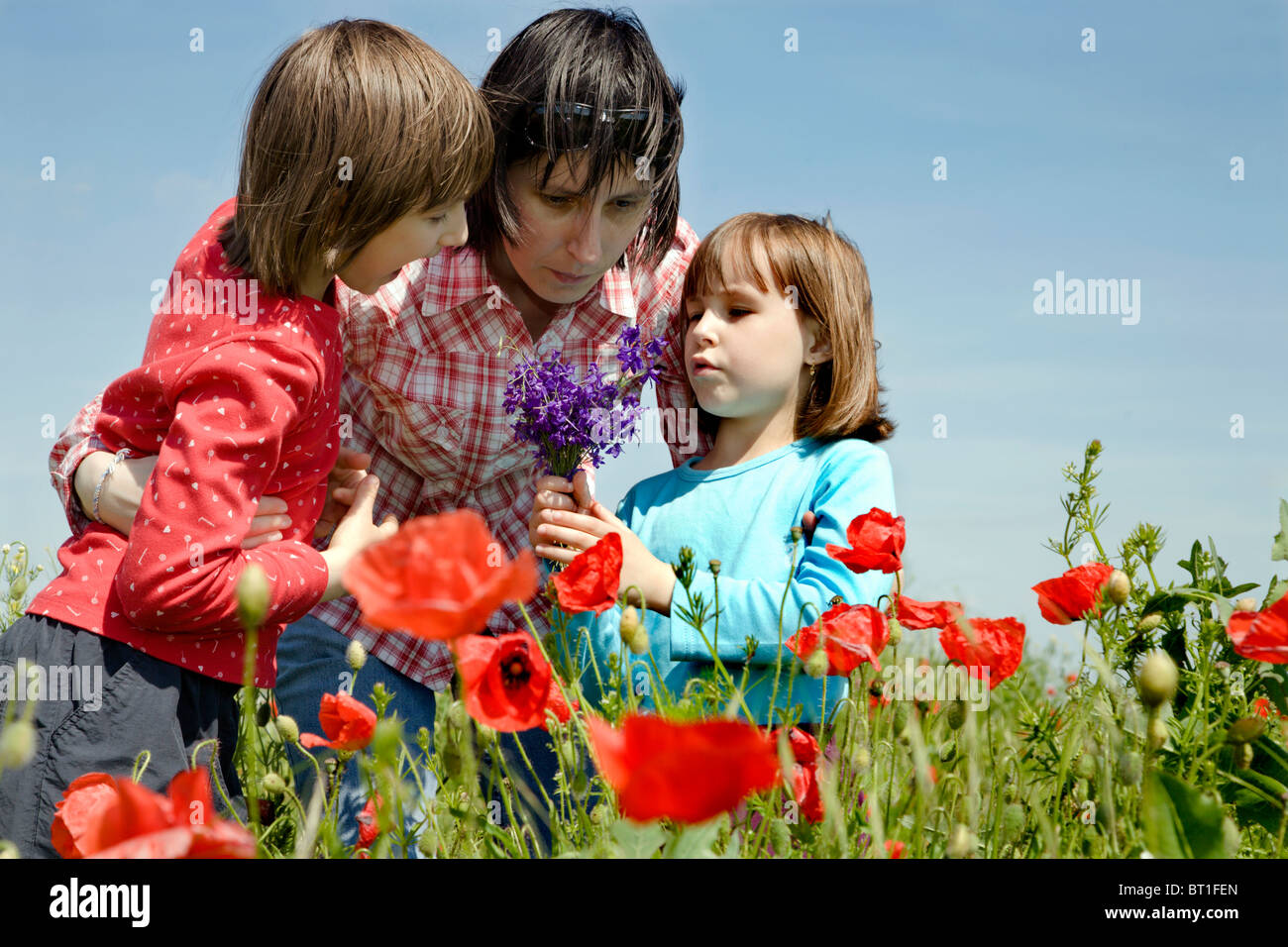 Mother poppy hi-res stock photography and images - Alamy