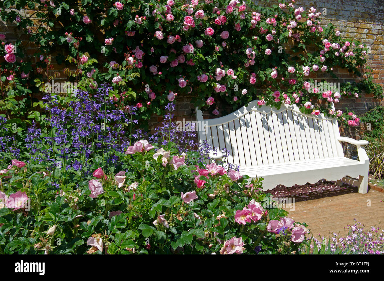 Rambling roses hi-res stock photography and images - Alamy