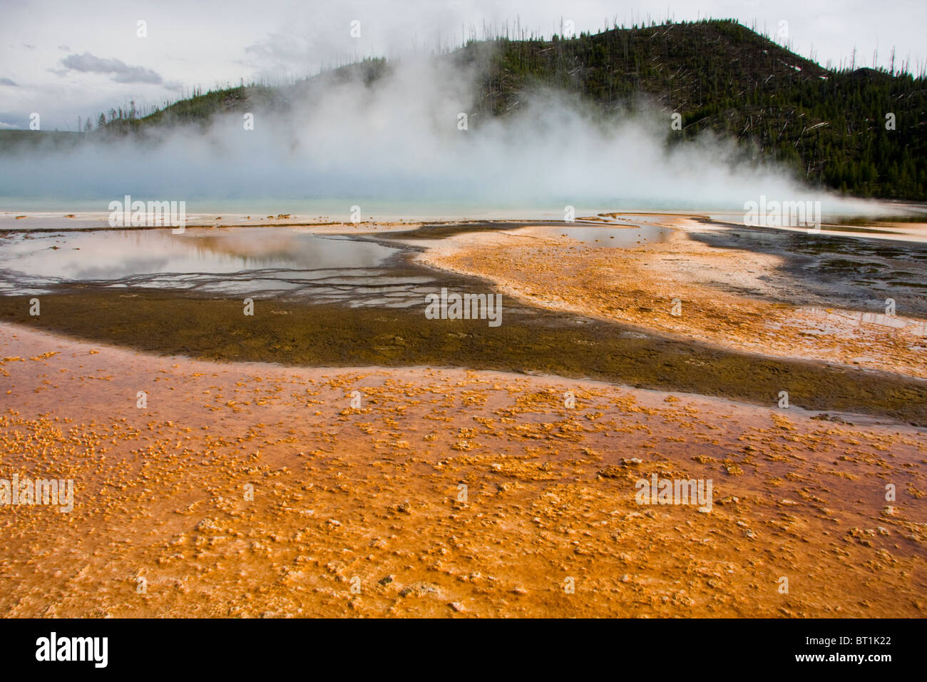 Thermphile hi-res stock photography and images - Alamy