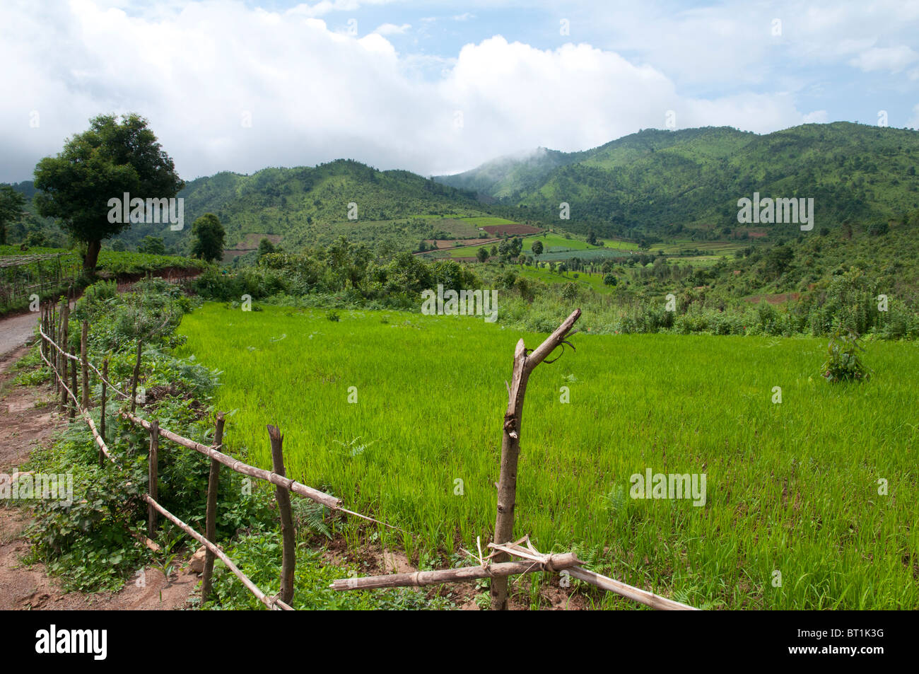 rice field in hilly landscape. Shan State. myanmar Stock Photo - Alamy