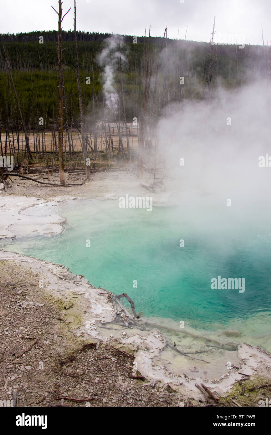 Cistern Spring; Norris Geyser Basin; Yellowstone National Park; USA ...