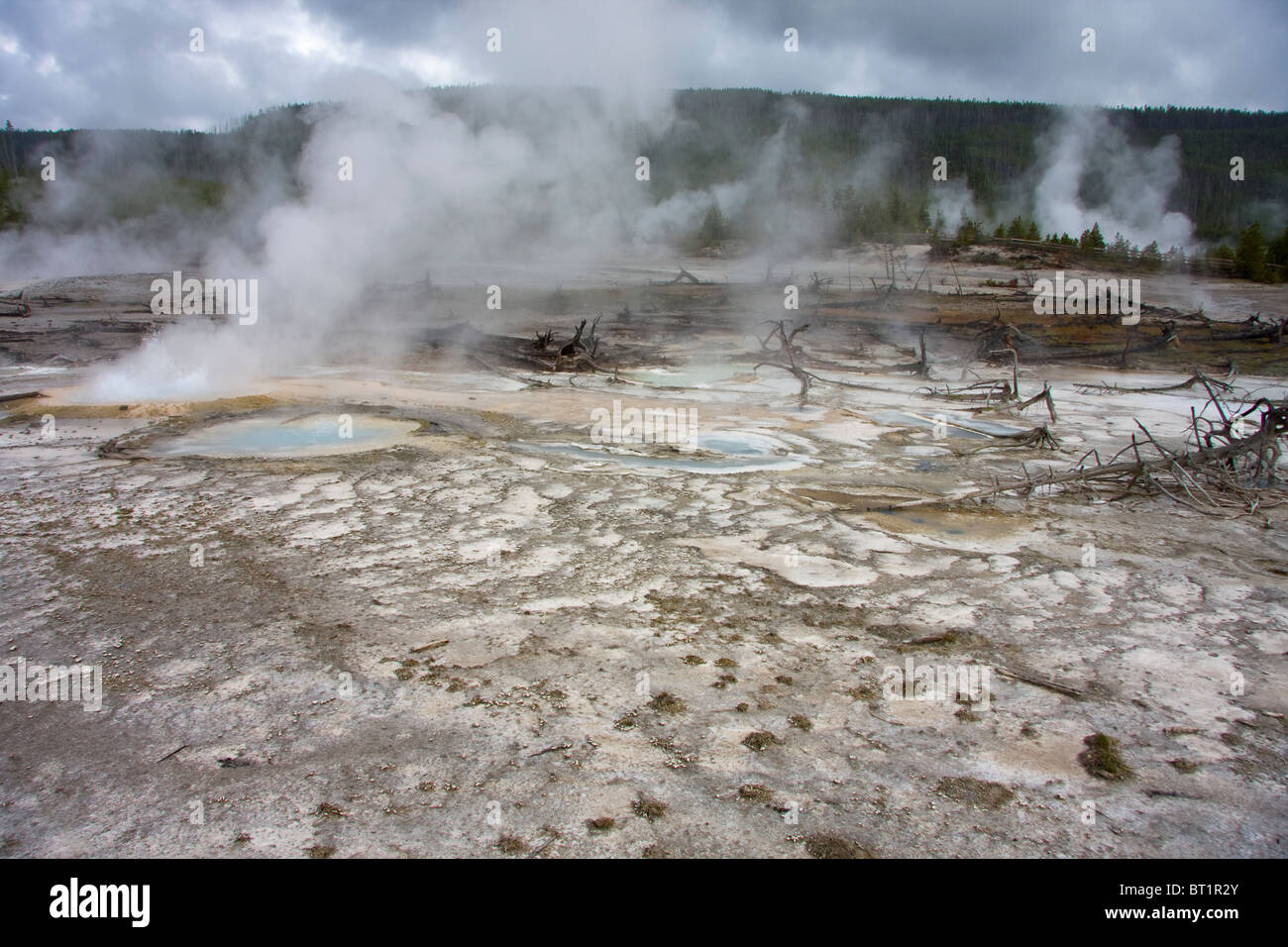 Hot springs and steam vents at Norris Geyser Basin, Yellowstone ...