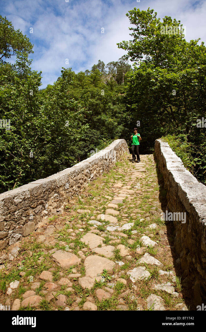Puente Romano Mirones estilo Barroco y rio Miera Cantabria España Roman ...