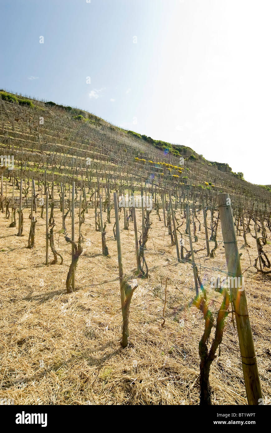 Argrian hi-res stock photography and images - Alamy