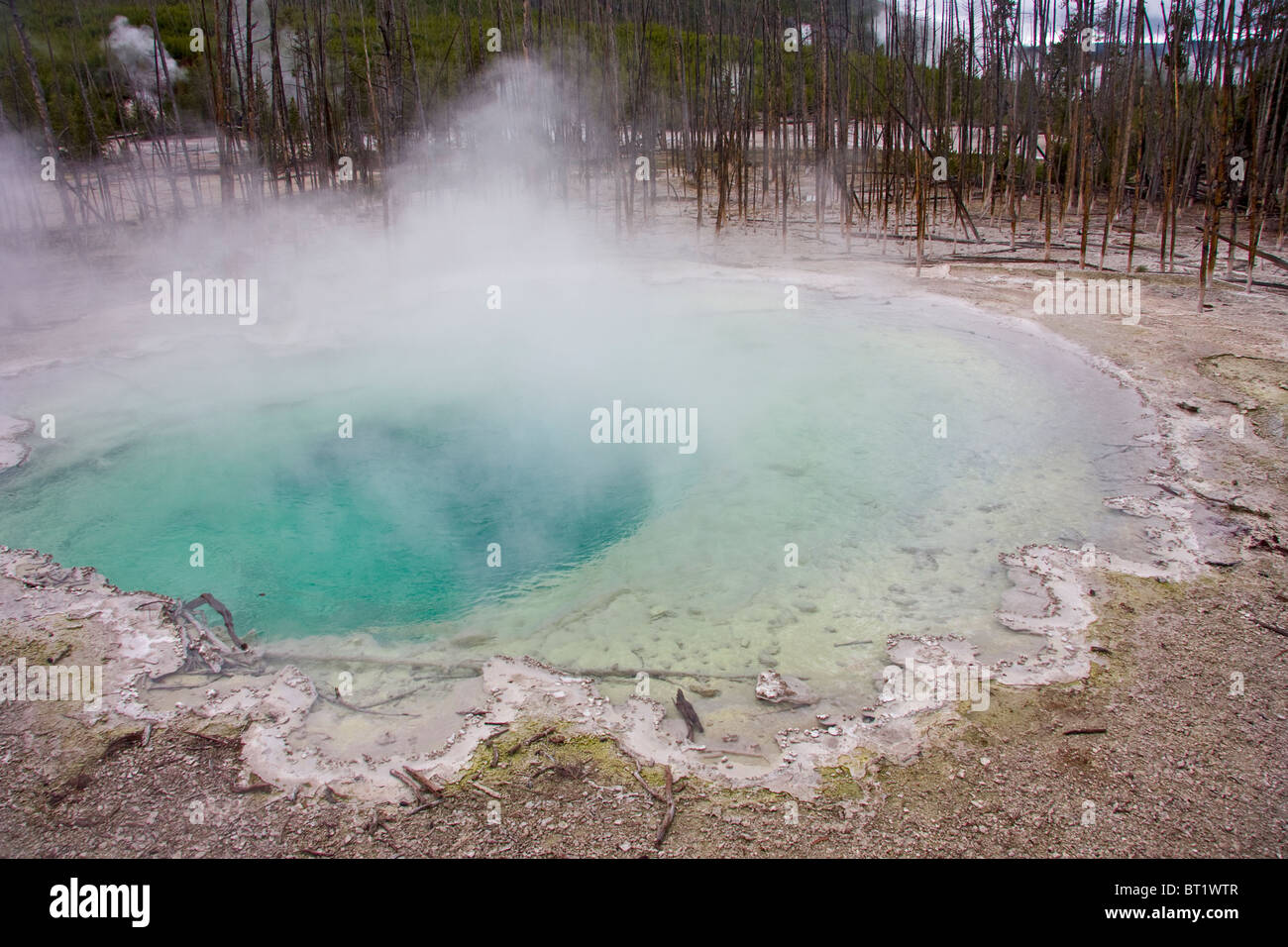 Cistern Spring, Norris Geyser Basin, Yellowstone National Park, USA ...