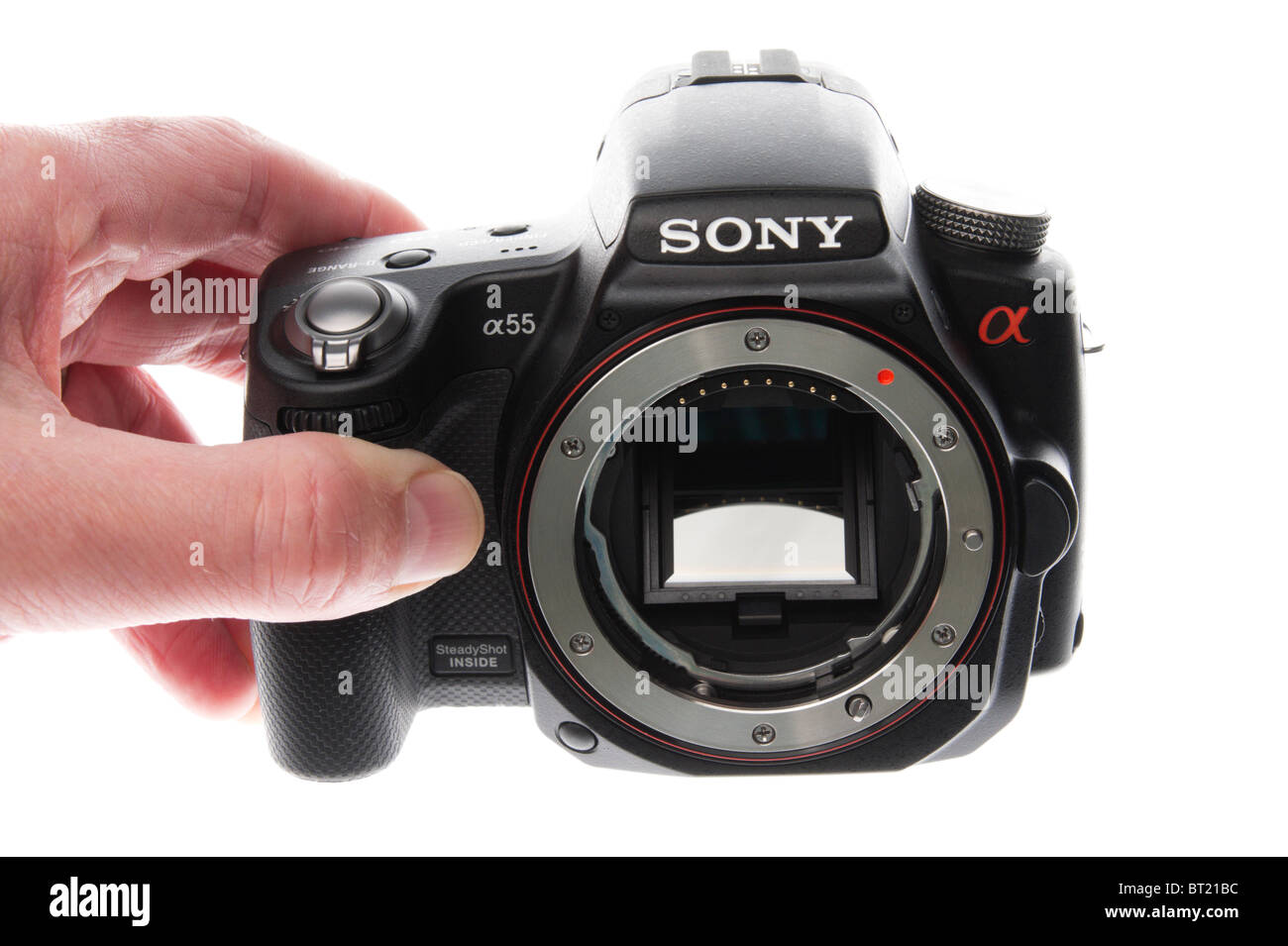 Sony Alpha 55 digital 'Single Lens Translucent' camera launched October ...